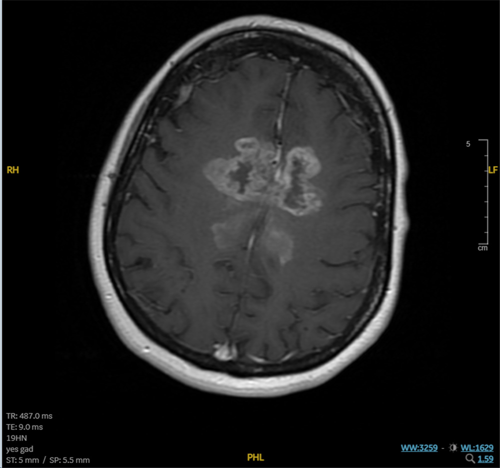 Sessions | NowYouKnow Neuro