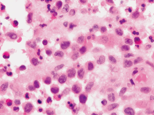 Sessions | NowYouKnow Neuro