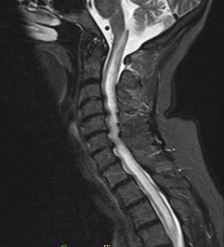 Sessions | NowYouKnow Neuro