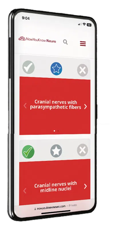 About Flashcards | NowYouKnow Neuro