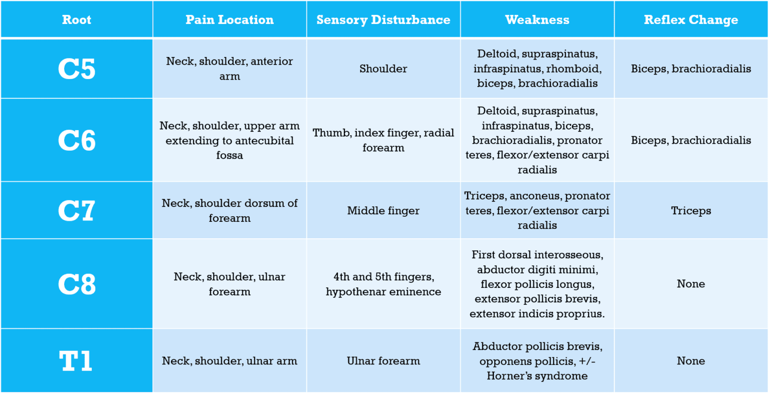 Roots and Radiculopathies | NowYouKnow Neuro