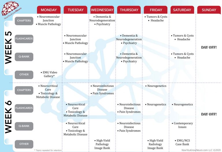 RITE Study Schedule PDF Download | NowYouKnow Neuro